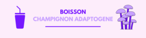 Boisson Champignon Adaptogène : Notre Avis en janvier 2026